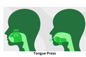 10 Proven Double Chin Exercises That Actually Work - QueenMind